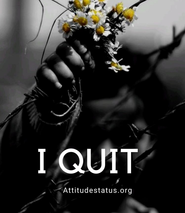 99+ Best Attitude Bio For Instagram for boy/girl (Short)